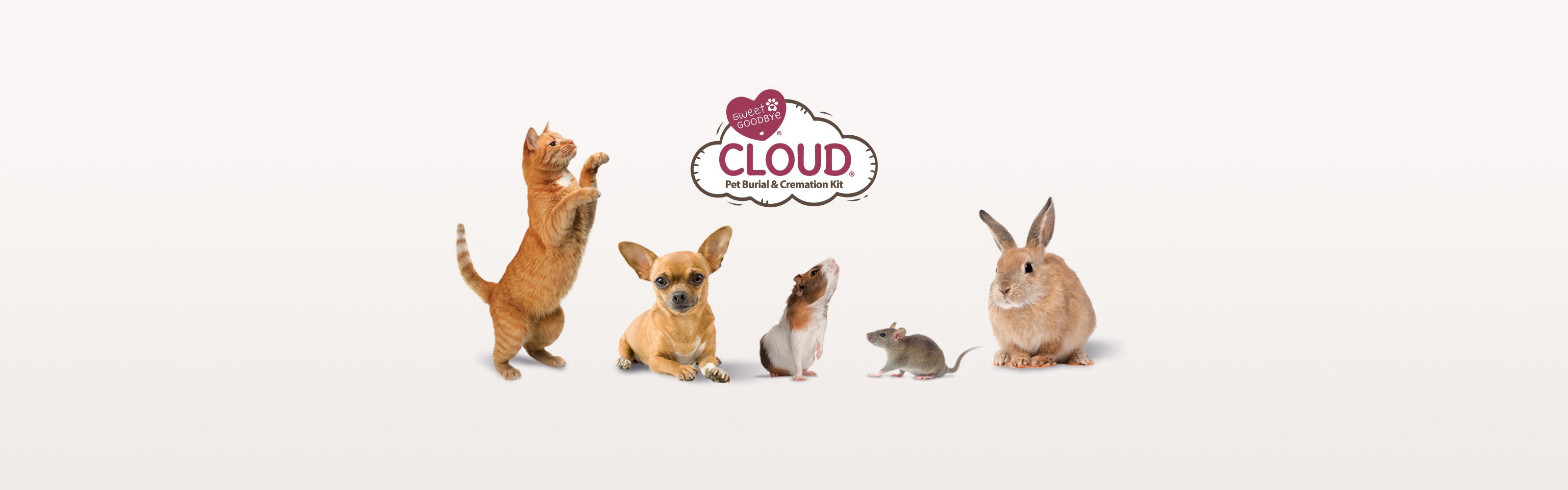 CLOUD Soft Pet Casket for Burial and Cremation | For Small Pets – Sweet ...
