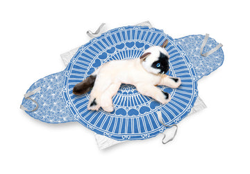 COCOON For All-Sized Pets – Sweet Goodbye for Pets